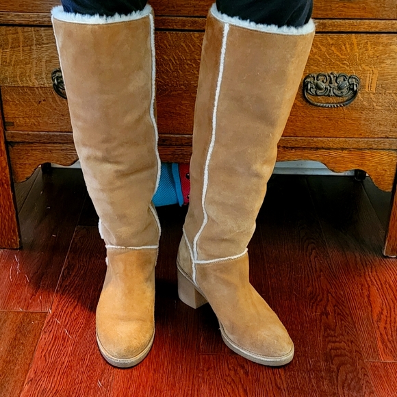 UGG | Shoes | Ugg Knee High Lined Boots | Poshmark